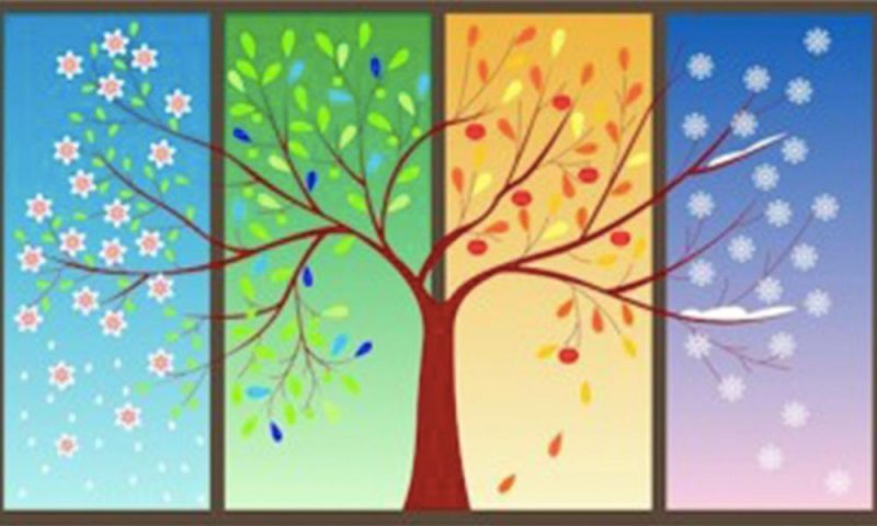 Semone Rochlin: A Surgeon for All Seasons | Dr. Semone Rochlin